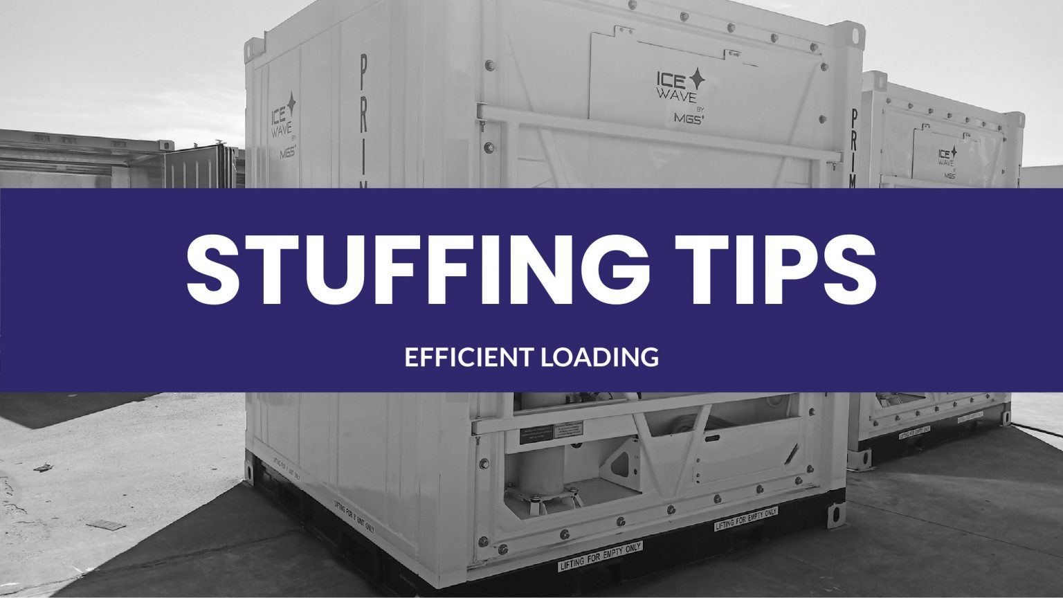 Container Stuffing Tips For Efficient Loading | MGS IceStorm