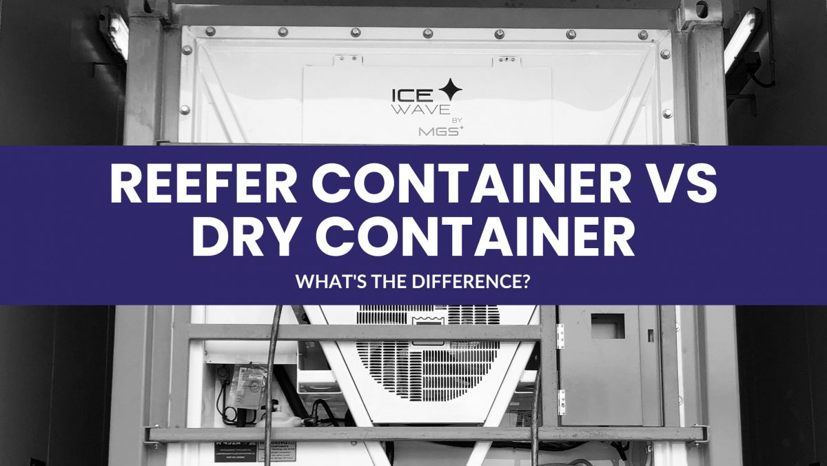 Reefer Containers Vs Dry Containers | MGS IceStorm